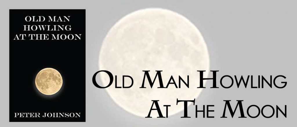 The Official Web Site of Peter Johnson - Award-Winning Young Adult and ...