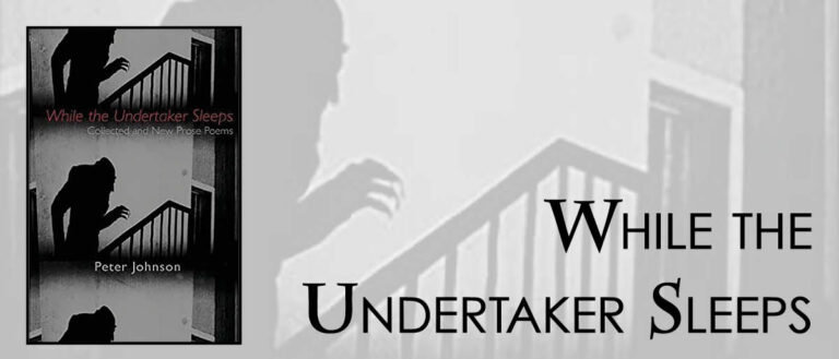 The Official Web Site of Peter Johnson - Award-Winning Young Adult and ...